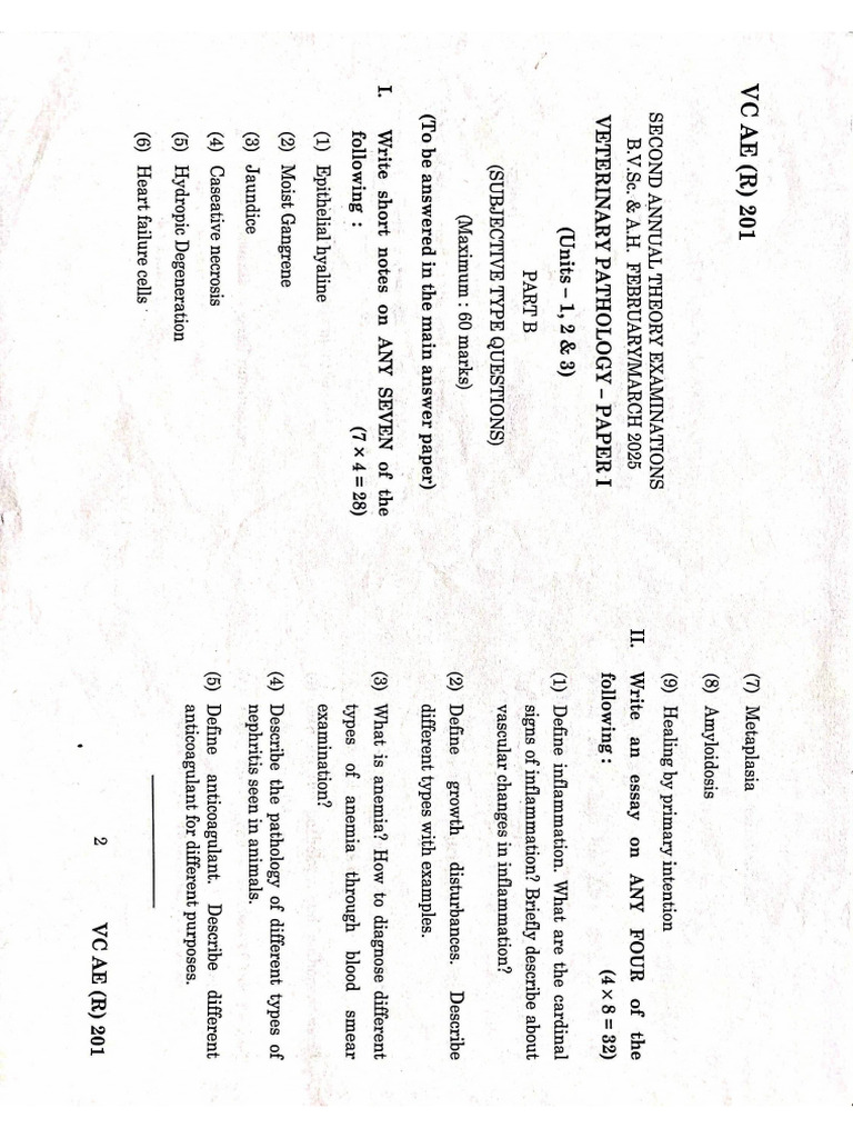 2ndyearqp2025 Tanuvas | PDF