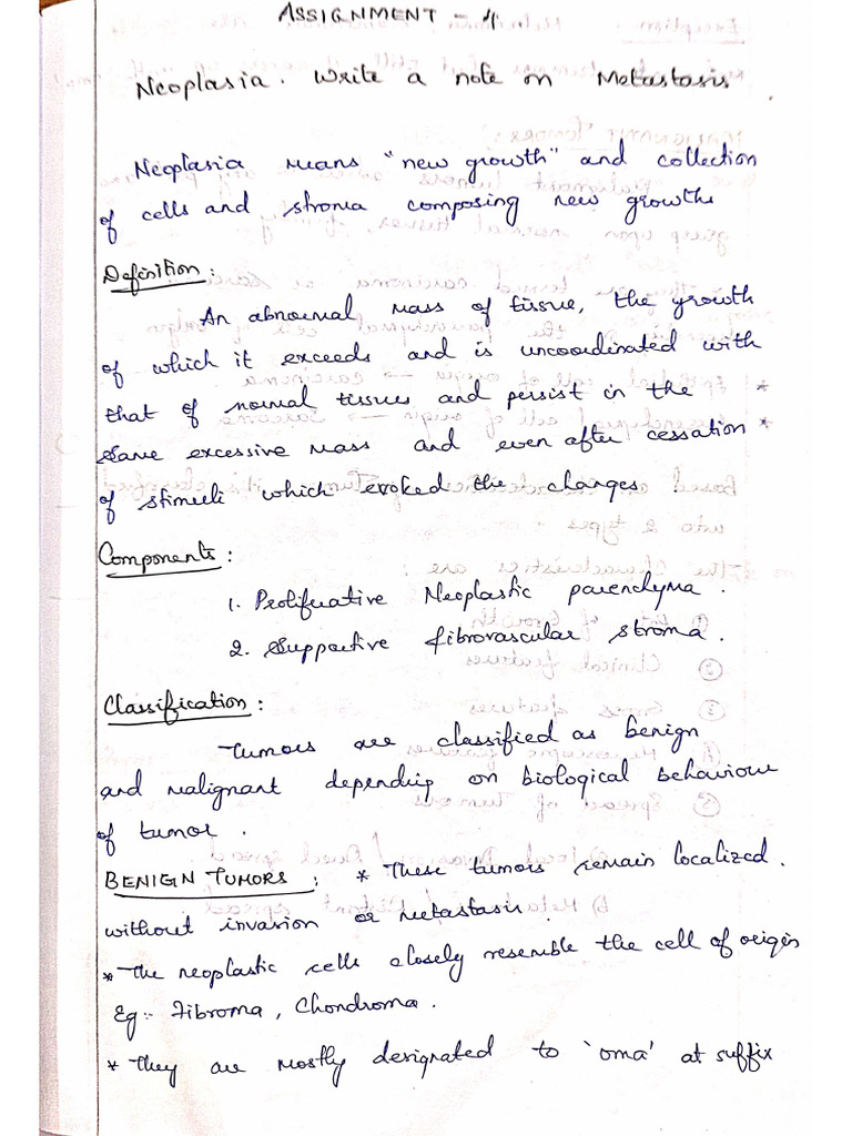 Path Assignment 4 | PDF