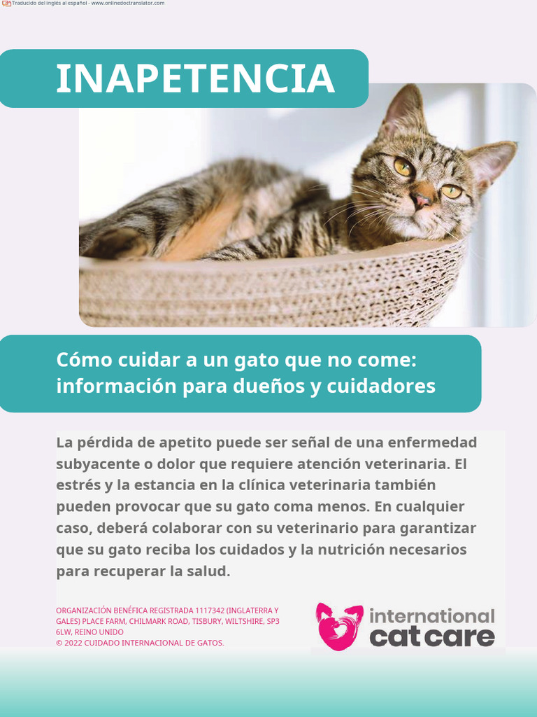 Cómo ayudar a un gato inapetente | PDF | Alimentos