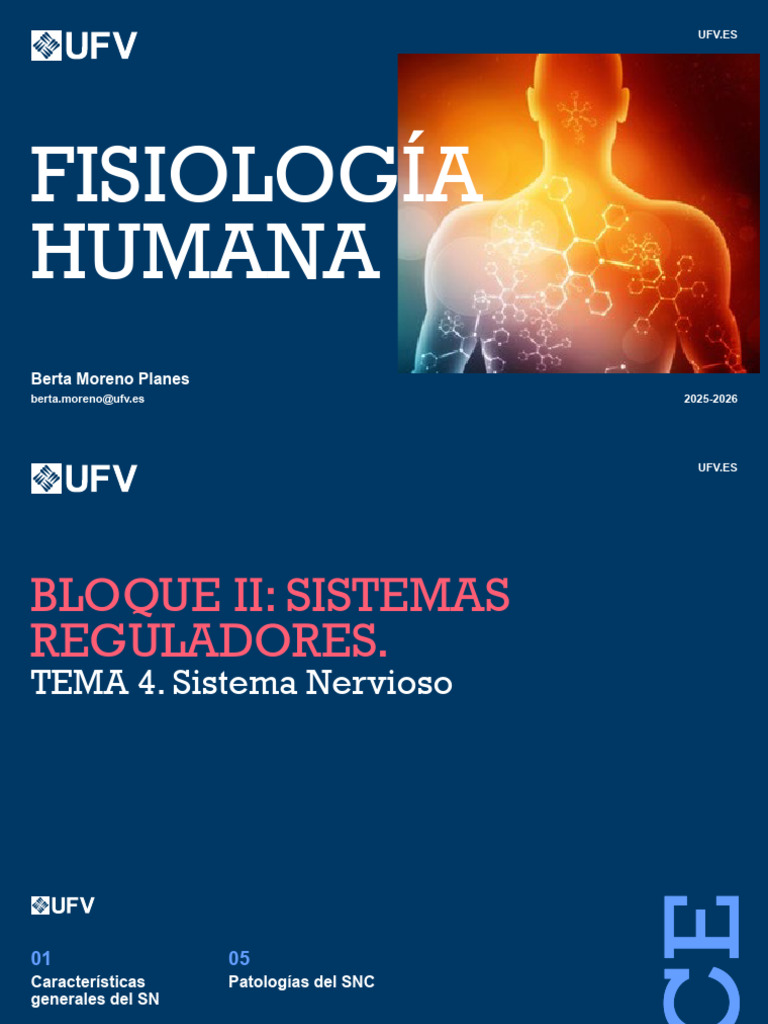 Bloque II Tema 4 Sistema Nervioso Alumnos | PDF | Potencial de acción | Neurona