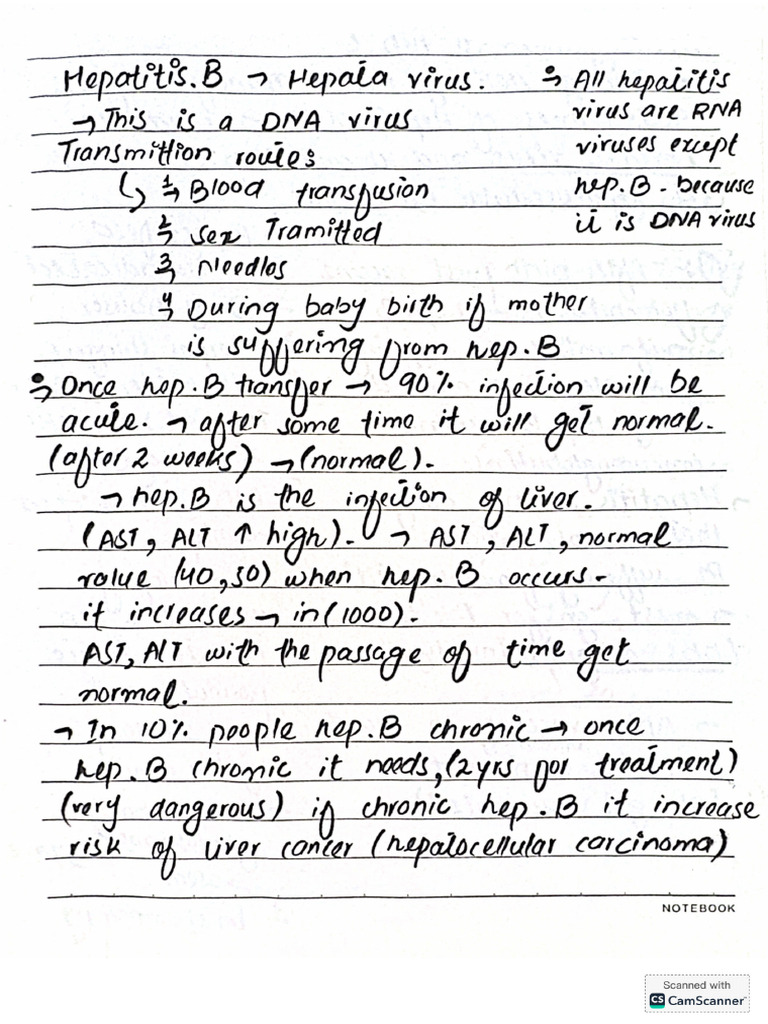 Hepatitis B | PDF