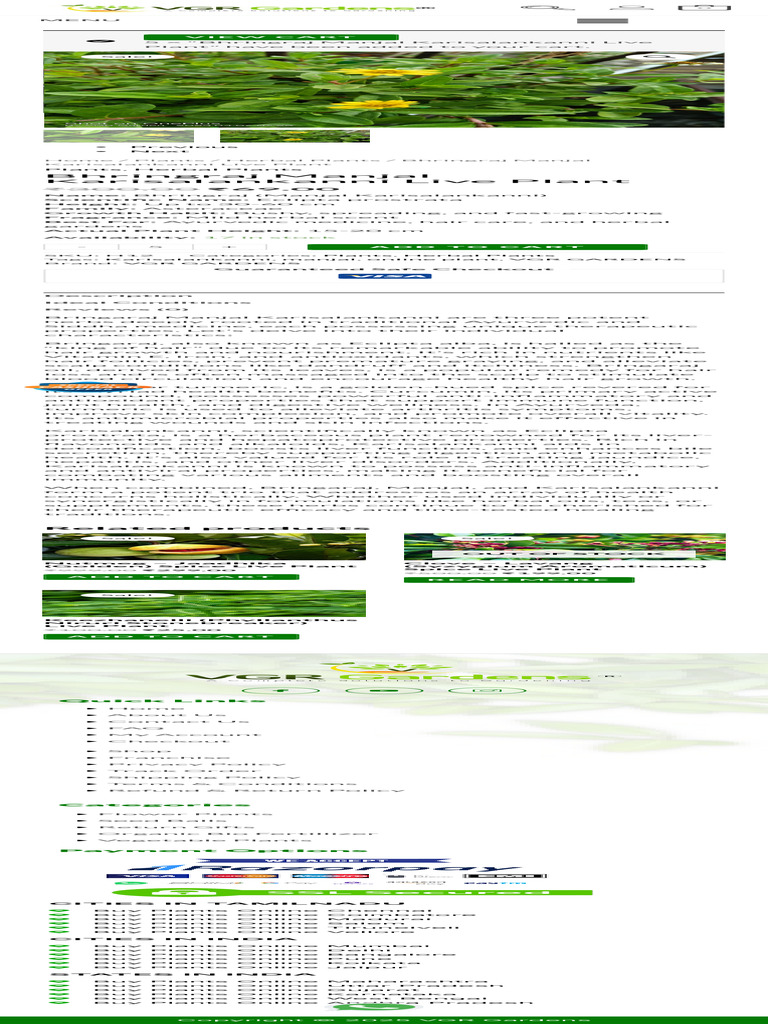 Bhringraj Manjal Karisalankanni Live Plant - VGR Gardens | PDF | Liver