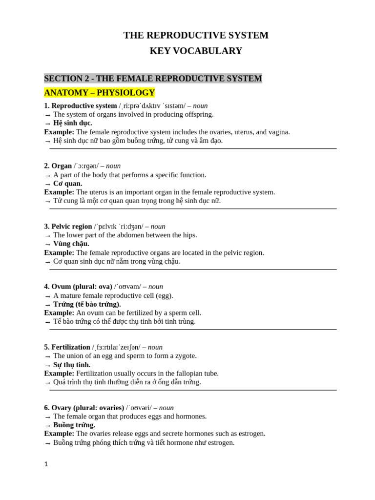 The Female Reproductive System-Vocabulary | PDF