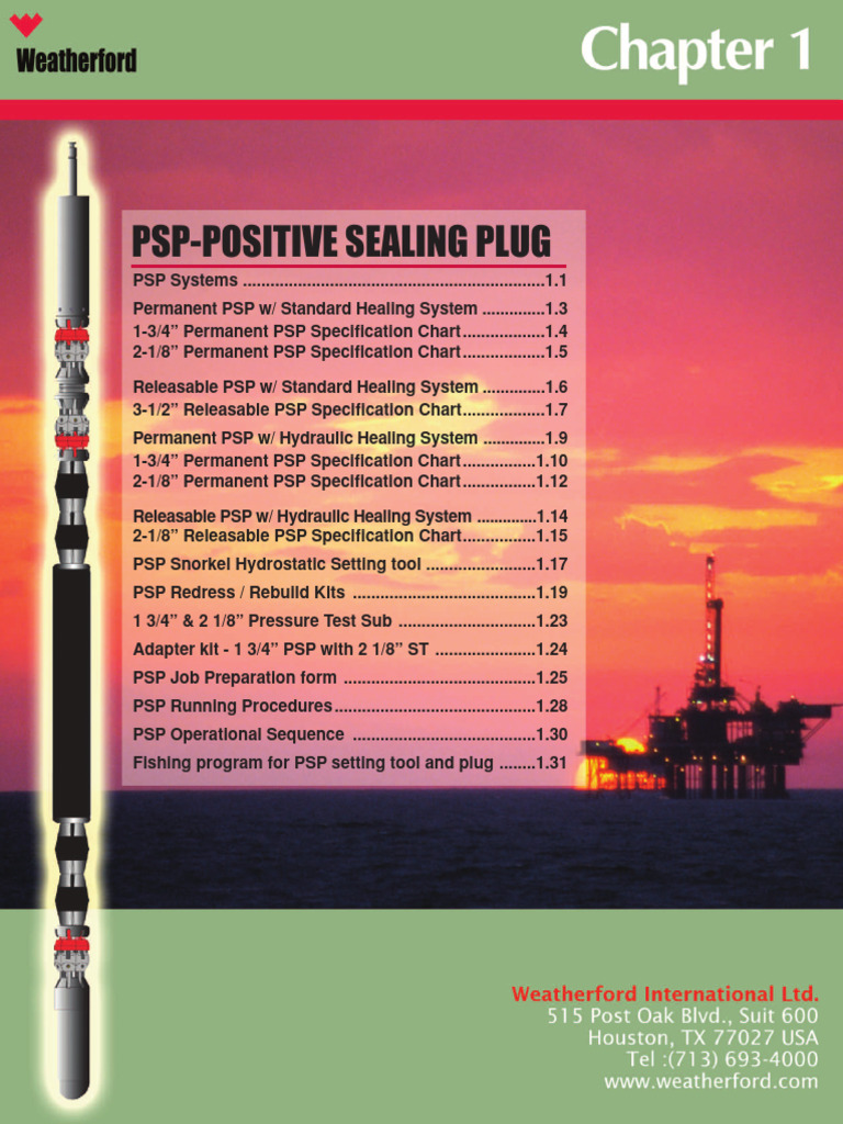 Chapter 1 PSP Plug Whetherford Plug 5 in | PDF | Pressure