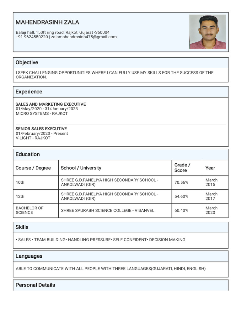 Mahendrasinh Zala - Sales Executive Profile | PDF