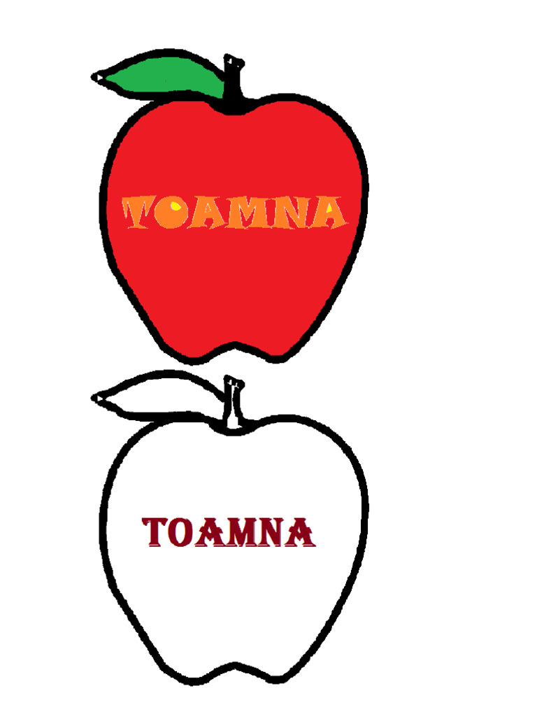 TOAMNA - Proiect de Grup | PDF