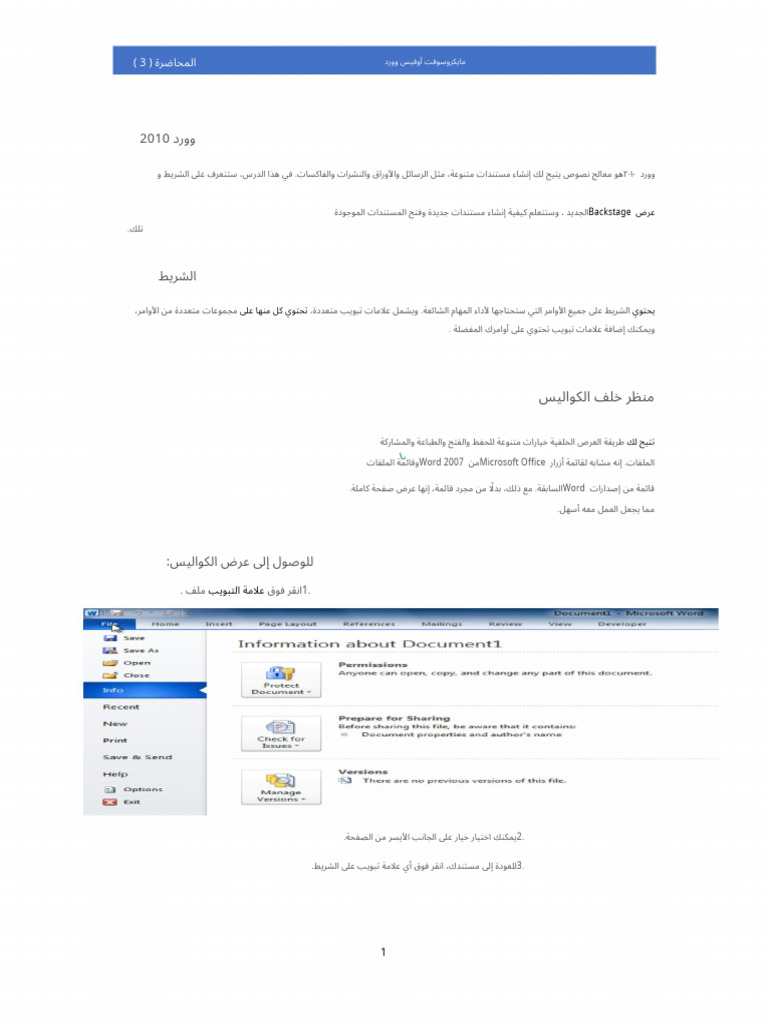 Lecture3 Word 2010 (1) | PDF