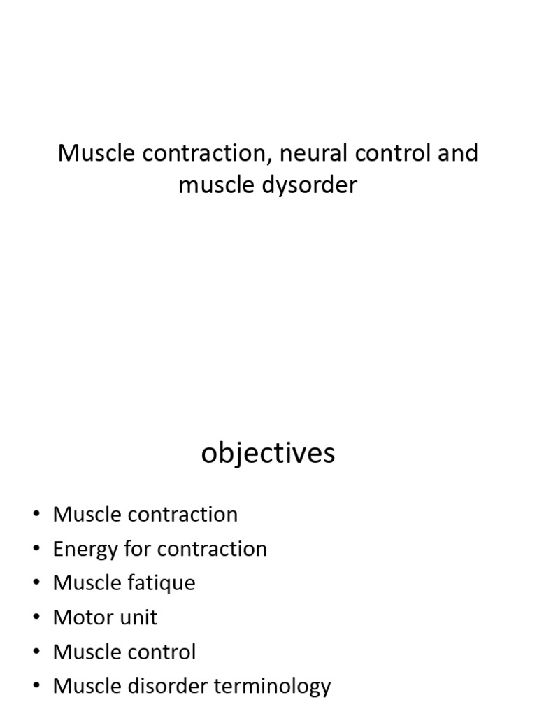 Muscle Contraction and Neural Control Guide | PDF | Muscle Contraction ...