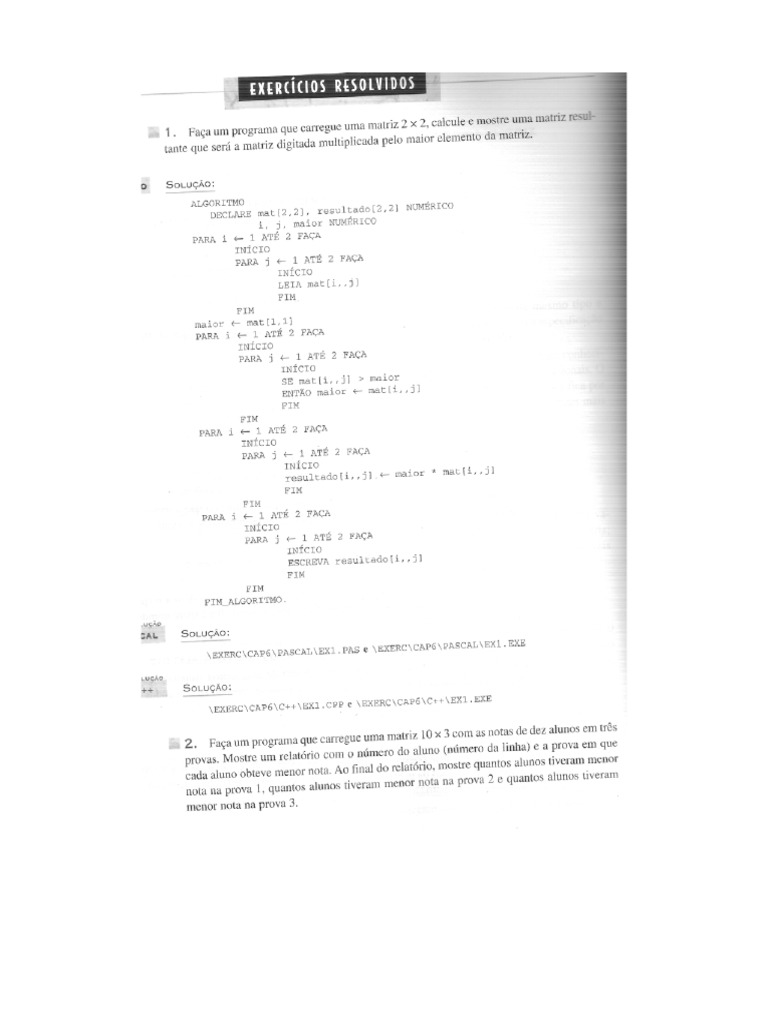 Algoritmo - Exerc Resolvidos Matrizes Livro | PDF