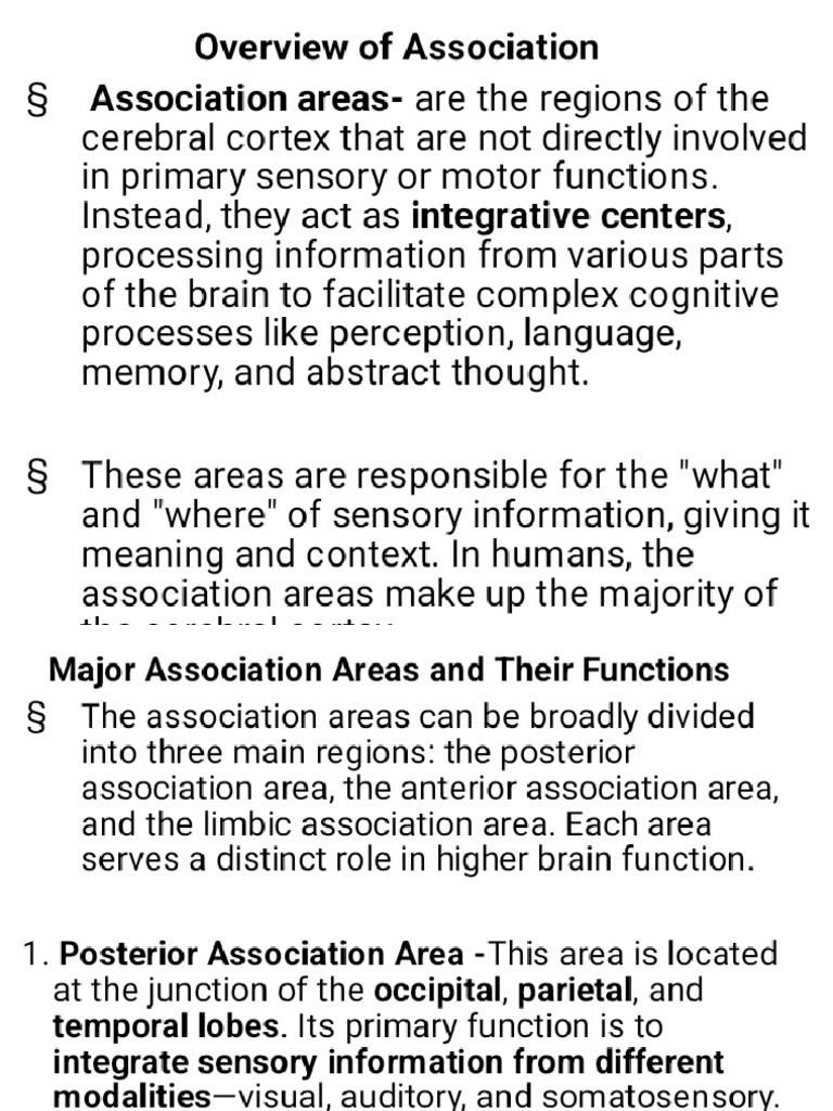 Association Areas of THR Brain - Phoenix | PDF