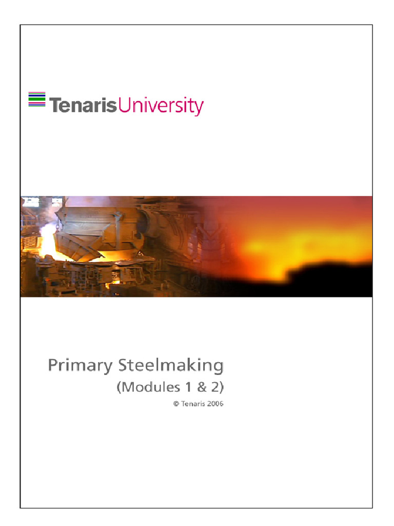 Primary Steelmaking Practice and Operation ISTE-E111-E1 English M1 M2 ...