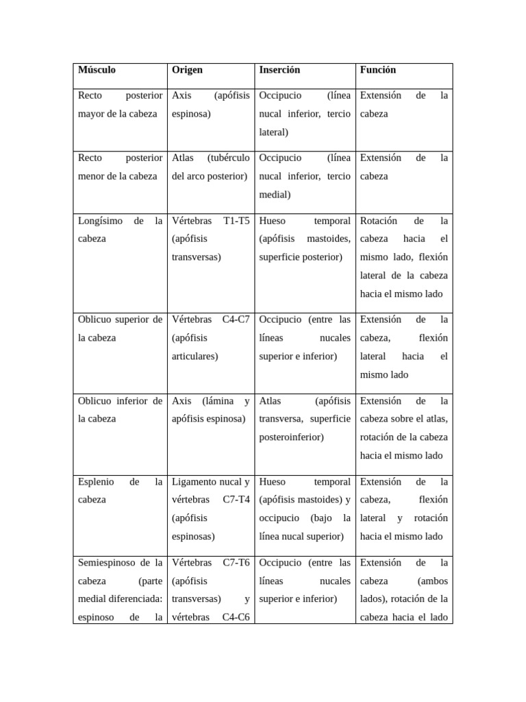 Anatomía y Función de Músculos Cervicales | PDF | Vértebra | Sistema ...