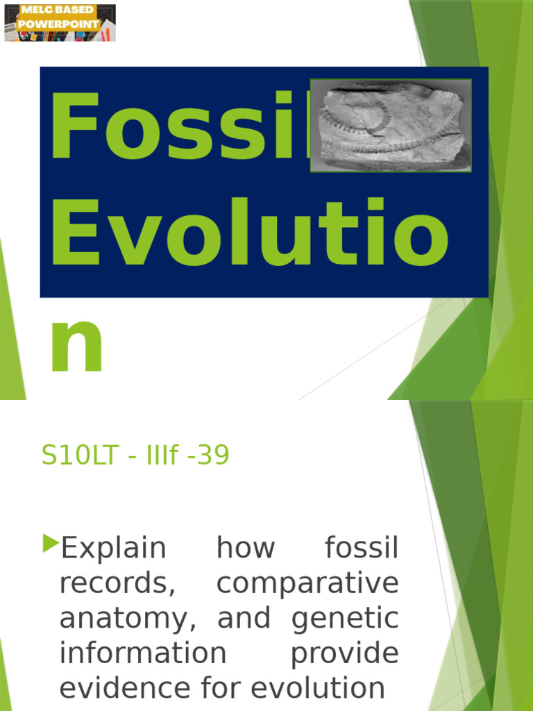 Fossil Evidence Supporting Evolution | PDF | Evolution | Fossil