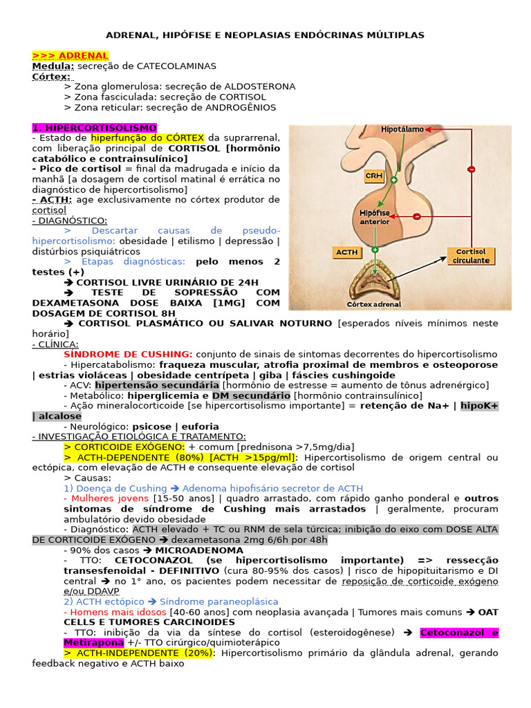 Neoplasias Endócrinas e Adrenais | PDF | Glândula suprarrenal ...
