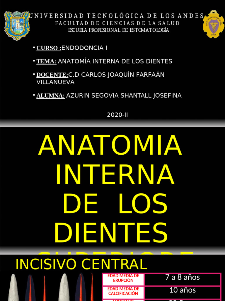 Anatomía Interna de los Dientes | PDF | Ramas de Odontología | Anatomia ...