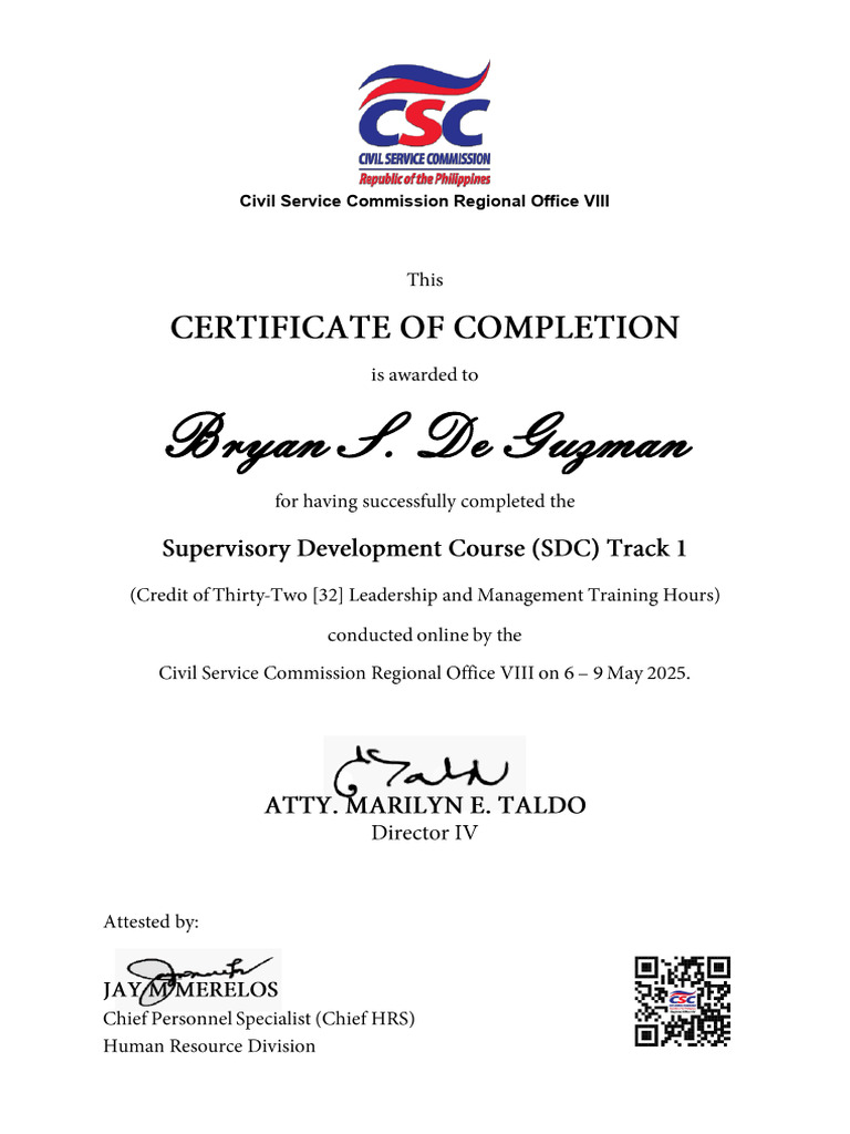 SDC Track 1 Bryan S. de Guzman | PDF