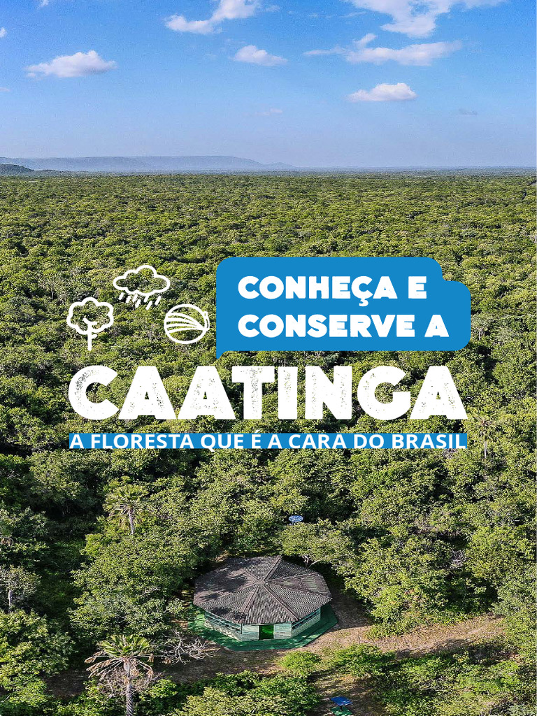 Caatinga: Bioma Único e Biodiverso do Brasil | PDF | Megafauna | Chuva