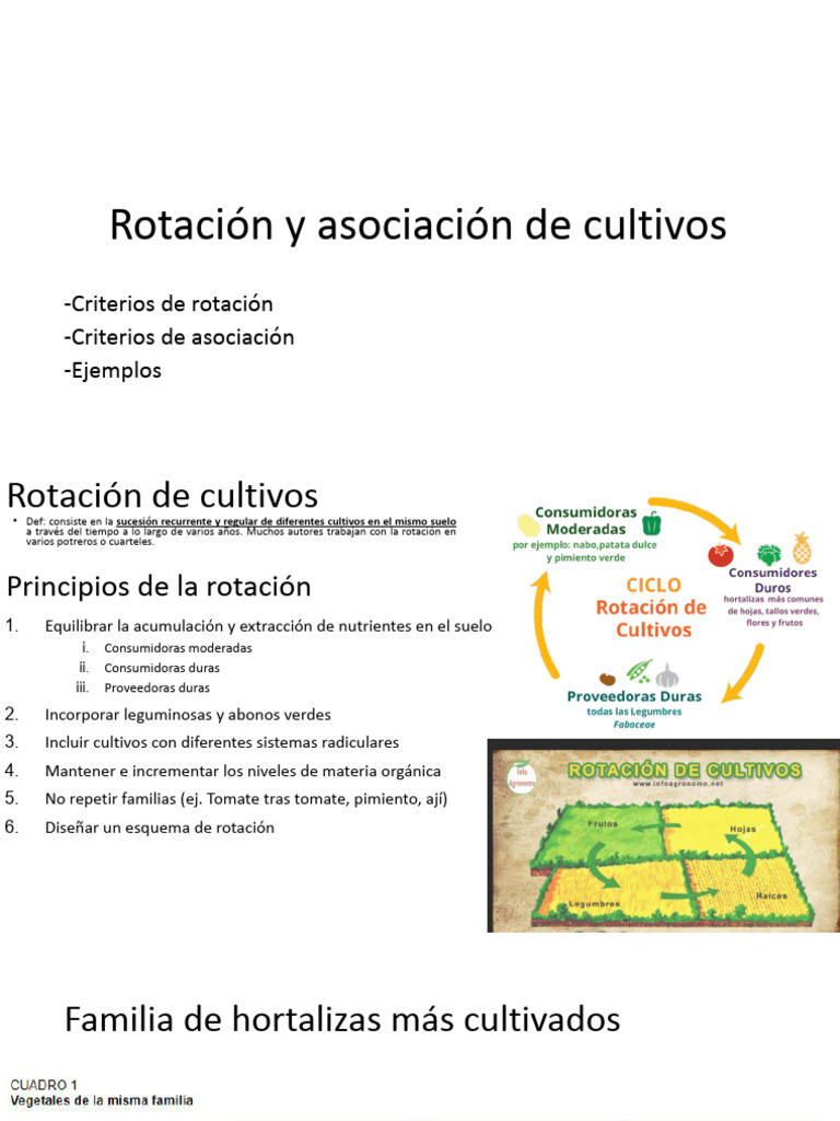 Rotación y Asociación de Cultivos | PDF | Agricultura | Plaga (organismo)