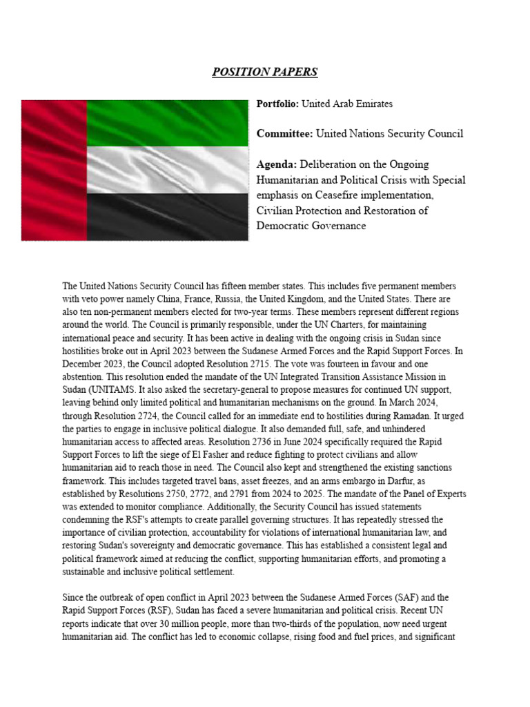 Position Papers | PDF | United Nations Security Council | Sudan
