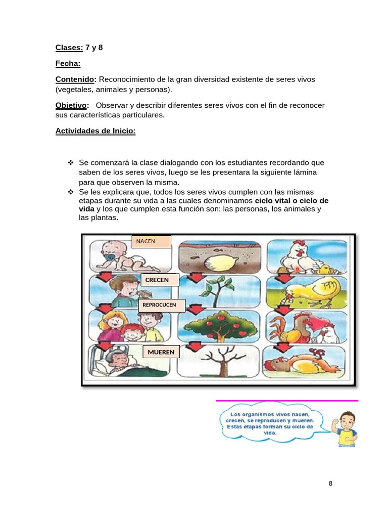 Diversidad de Seres Vivos en Clases | PDF