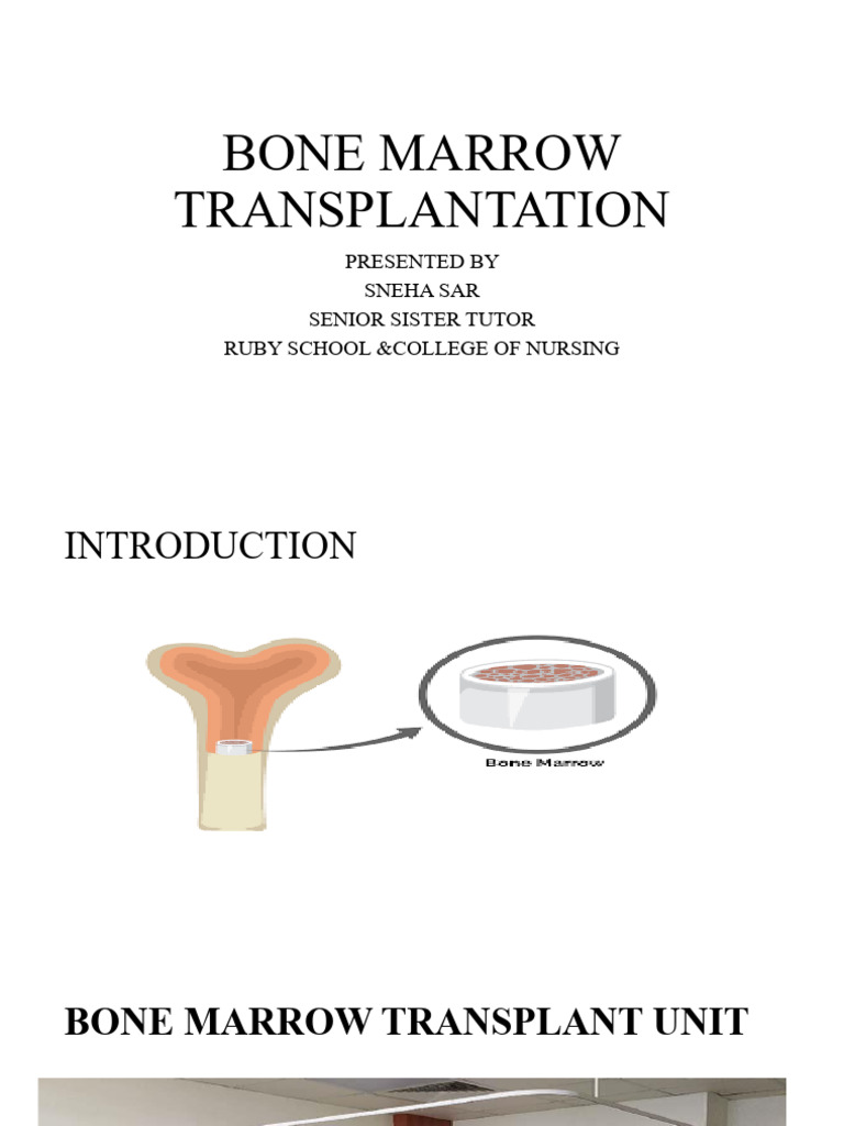Bone Marrow Transplantation | PDF | Hematopoietic Stem Cell ...
