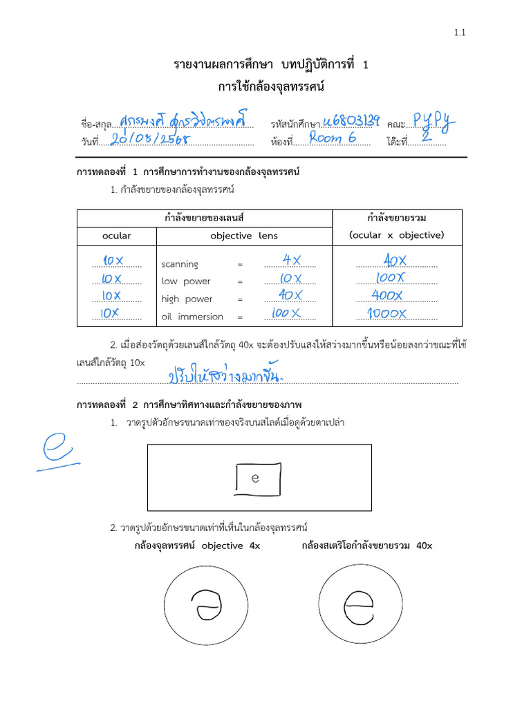 01 Microscope Report 2 | PDF