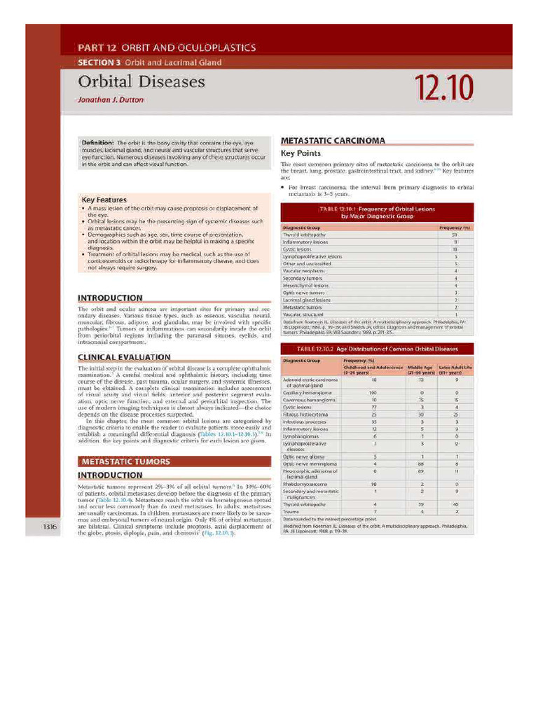 Yanoff End 105503 | PDF