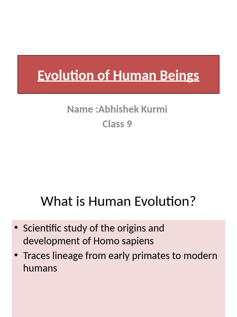 Human Evolution Presentation Pdf