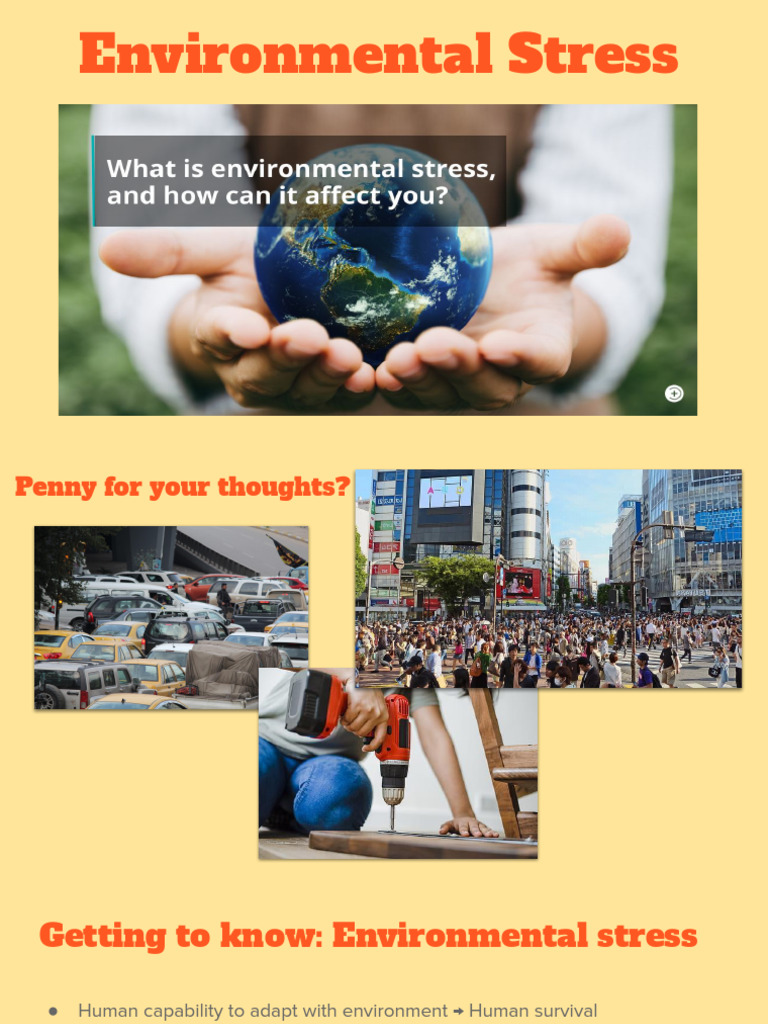Meeting 3 - Environmental Stress | PDF | Stress (Biology) | Affect ...