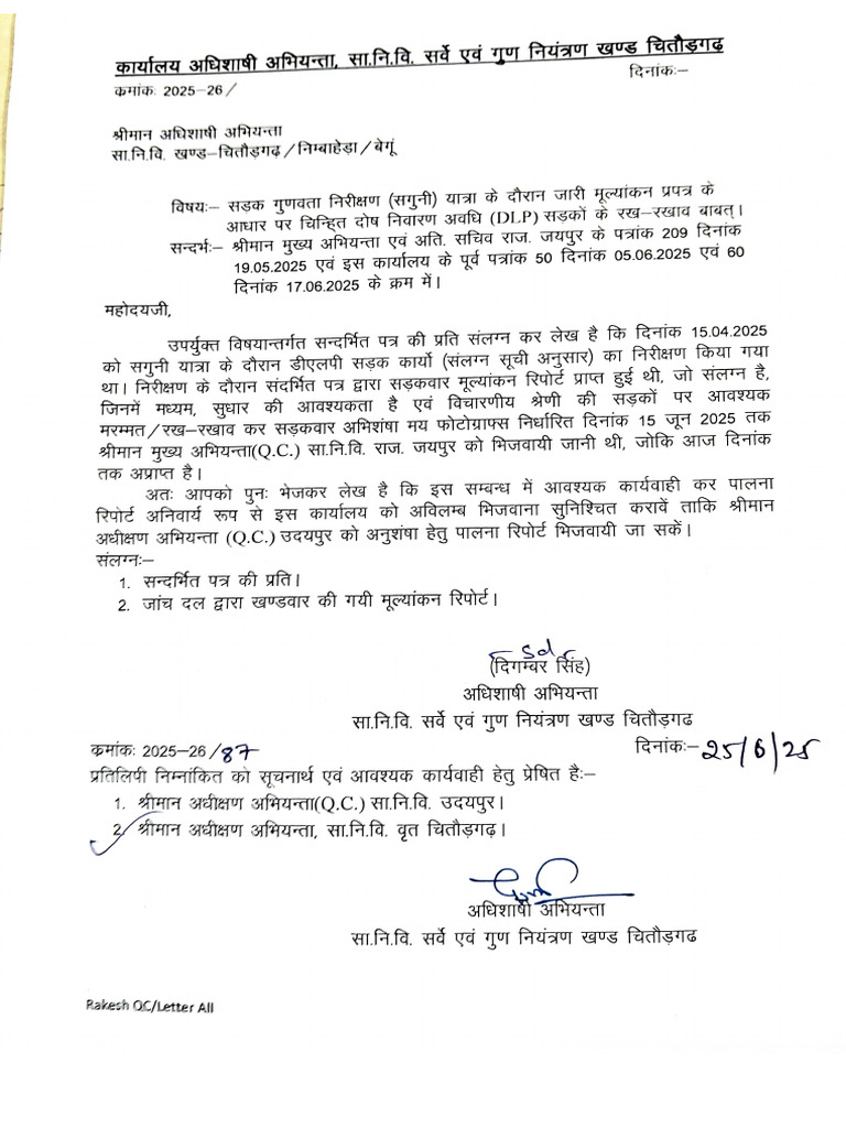 ACE Scanner_2025_06_25 | PDF