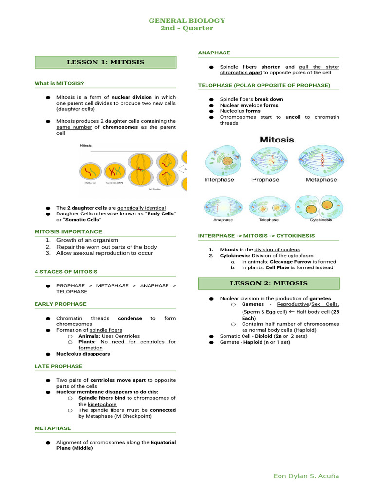 gbio 2stem11eon | PDF | Mitosis | Meiosis