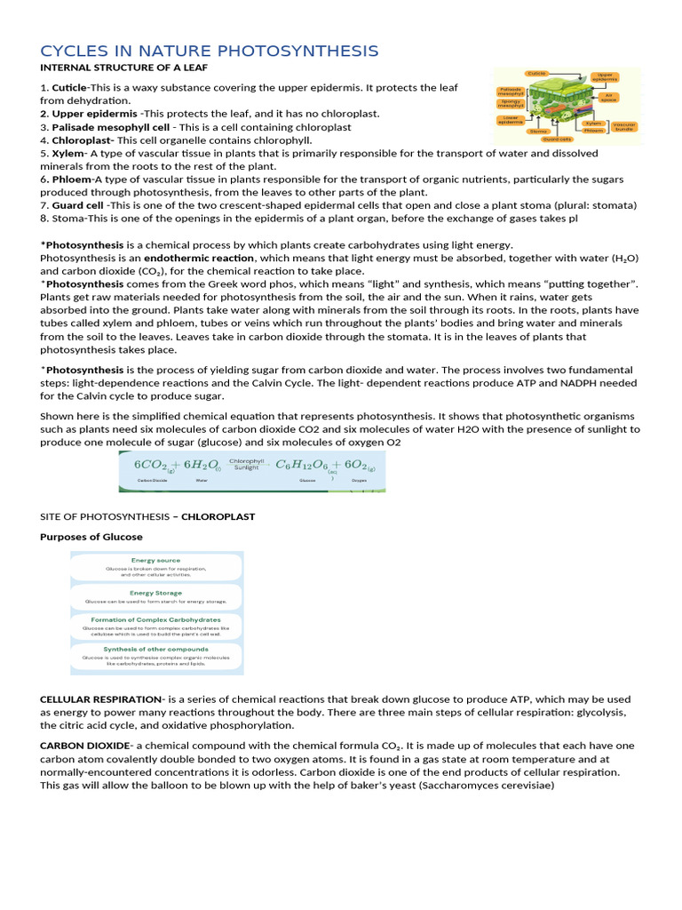 Cycles in Nature Photosynthesis | PDF | Cellular Respiration ...