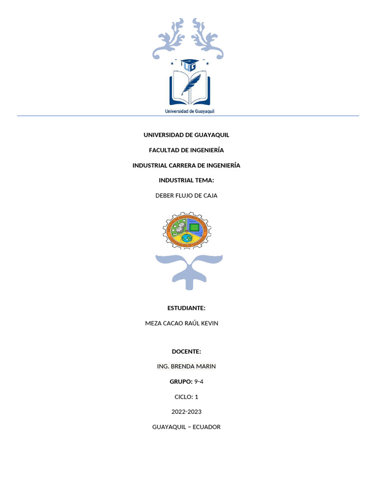 Deber Flujo de Caja - Meza Raul | PDF | Economias | Dinero