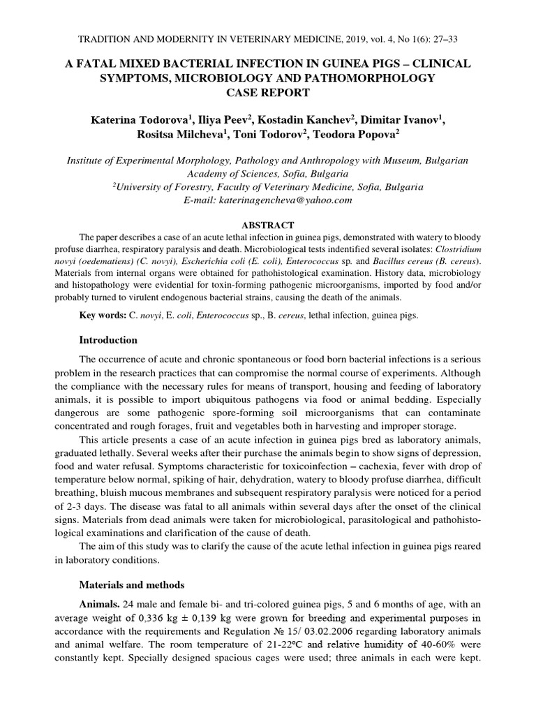 A Fatal Mixed Bacterial Infection in Gui | PDF | Lung | Escherichia Coli