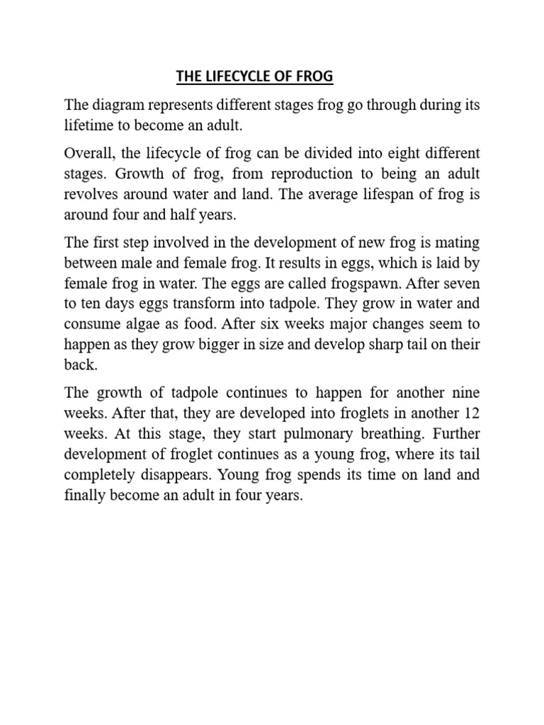 Frog Lifecycle Stages Explained | PDF
