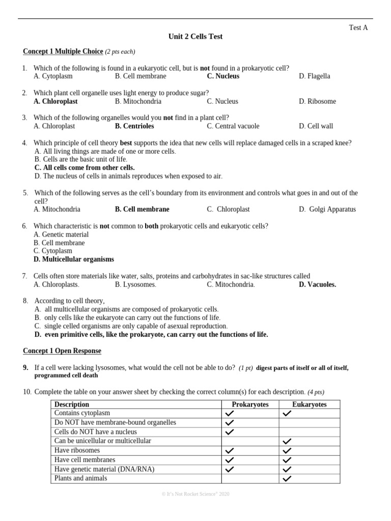 KEY | PDF | Cell (Biology) | Mitosis