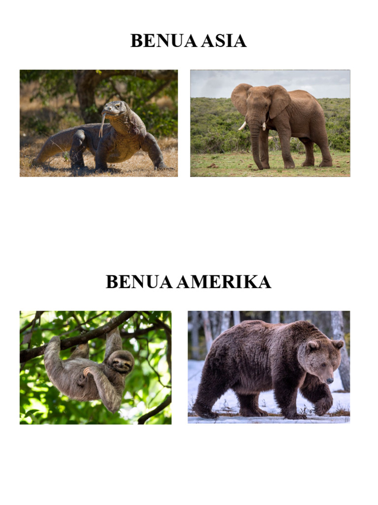 Contoh Hewan Di Lima Benua | PDF
