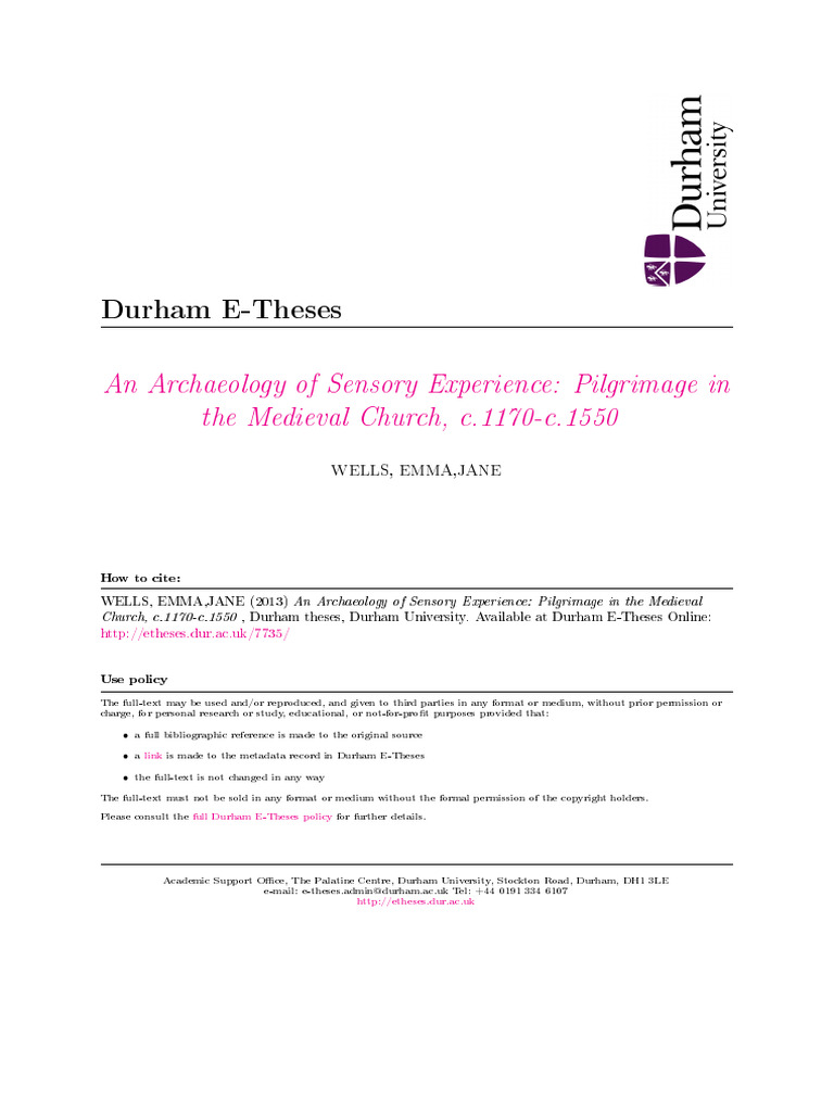 FINAL_THESIS_FULL_DOC | PDF | Experience