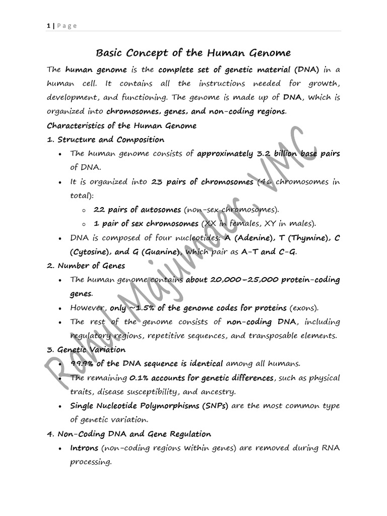 Basic Concept of the Human Genome | PDF | Human Genome | Genome