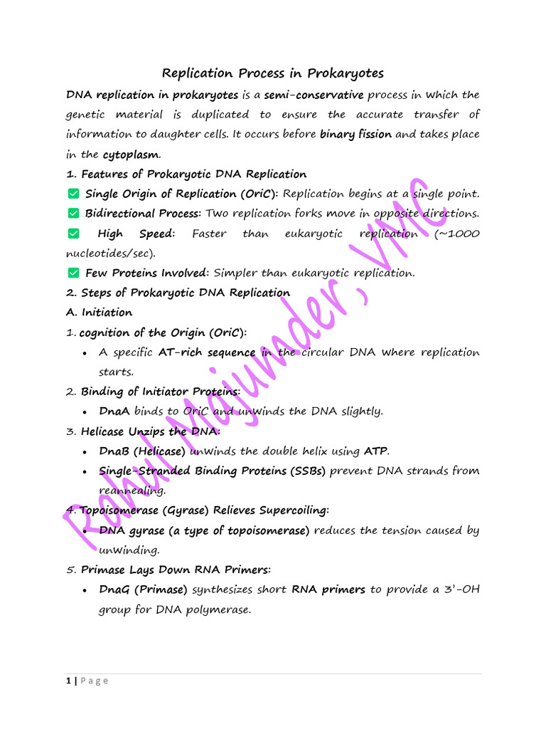 Replication Process in Prokaryotes | PDF | Dna Replication | Dna