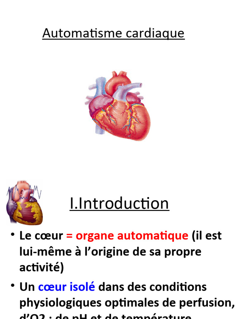 Automatisme et Électrocardiogramme Cardiaque | PDF | Contraction du ...