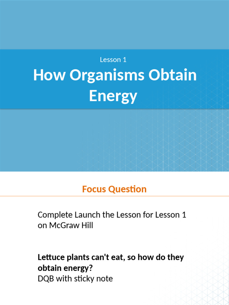 CA Lesson 1 How Organisms Obtain Energy | PDF | Metabolic Pathway ...