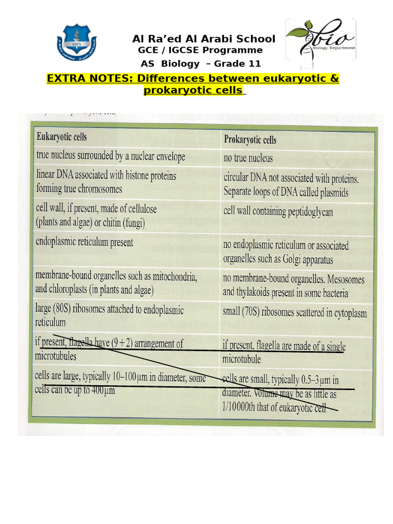 Diff Bet Eukaryotic and Pro | PDF