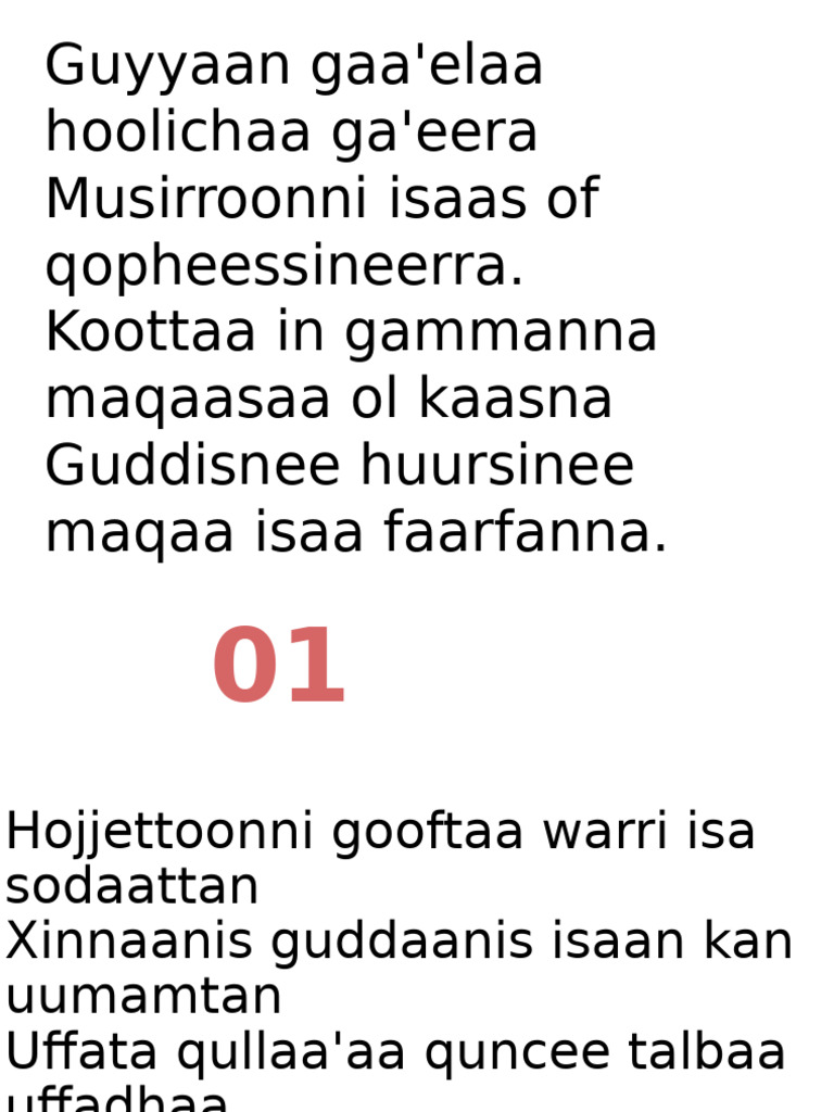 Cidha Hoolichaa | PDF