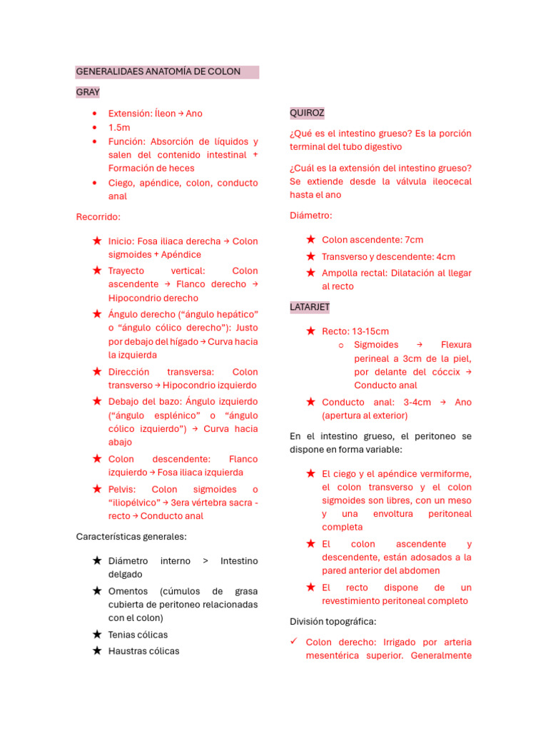 Anatomía del Colon: Estructura y Función | PDF | Intestino grueso | Abdomen