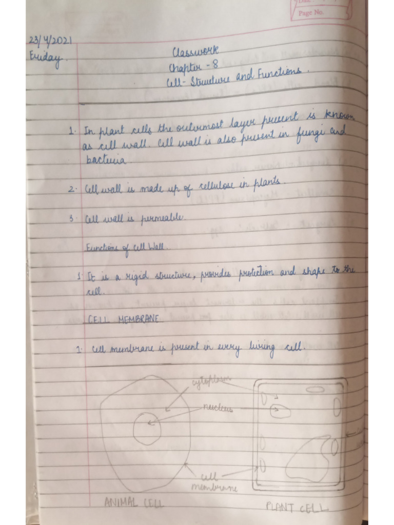 Ch-8 Cell Notes | PDF