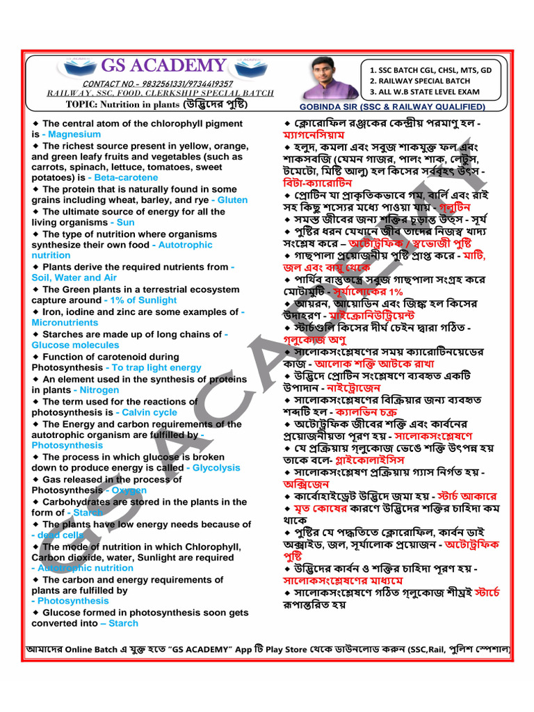 Nutrition in Plants (Bilingual) | PDF