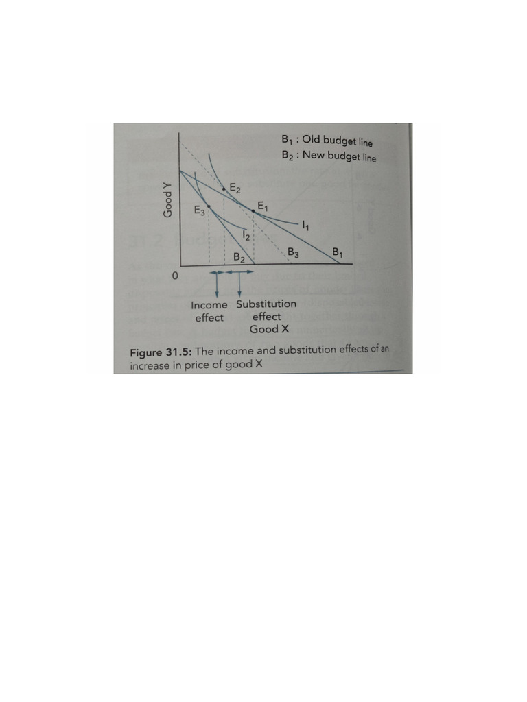 Income and Substitution Effect Explained | PDF