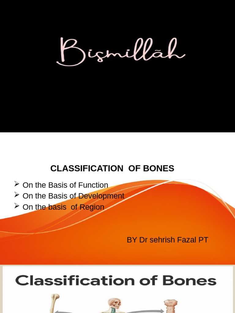 Lec #4 Classification of Bones | PDF | Bone | Skull