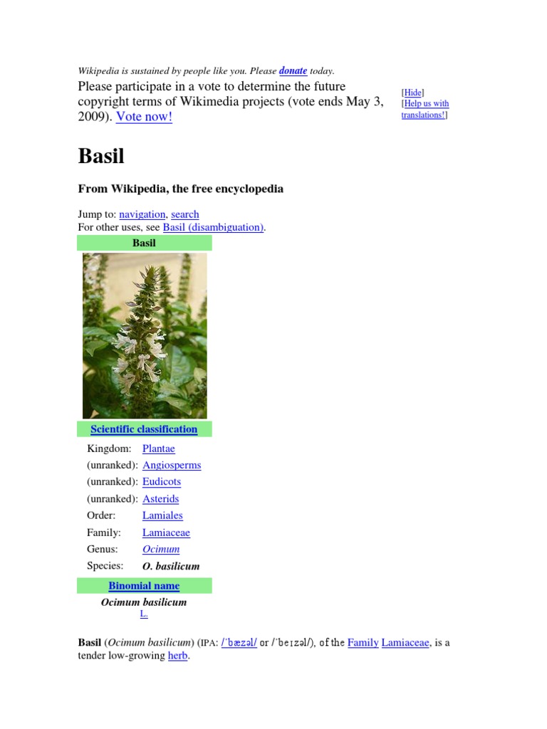 Discover the history of basil herb in this Wikipedia article | PDF ...